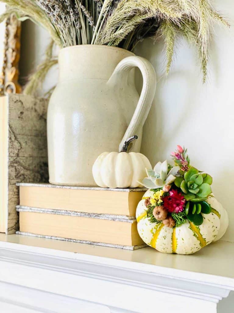 You Will Love These Special Pumpkins For Fall | Classic Casual Home