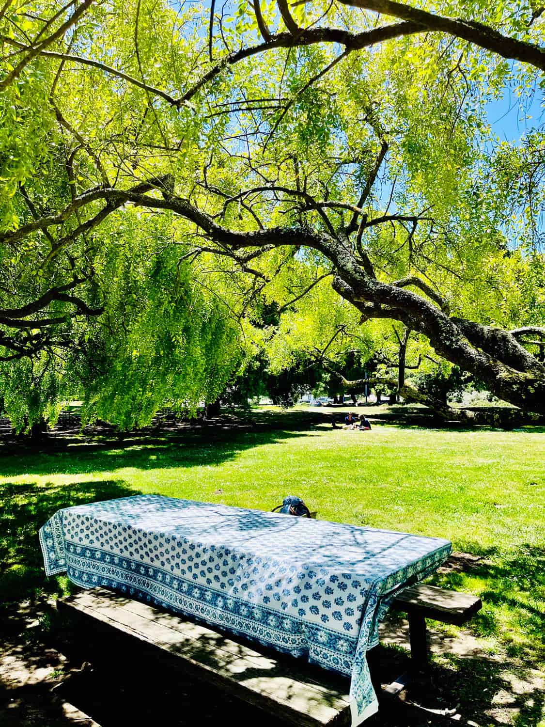 Simple Special Picnic Ideas! | Classic Casual Home